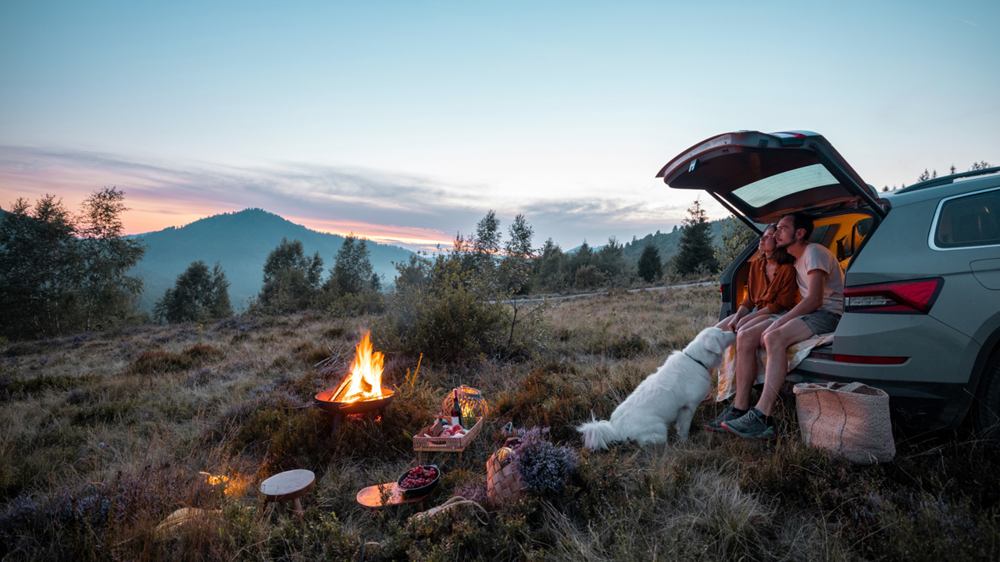 Mobility in the next decade - MEKO